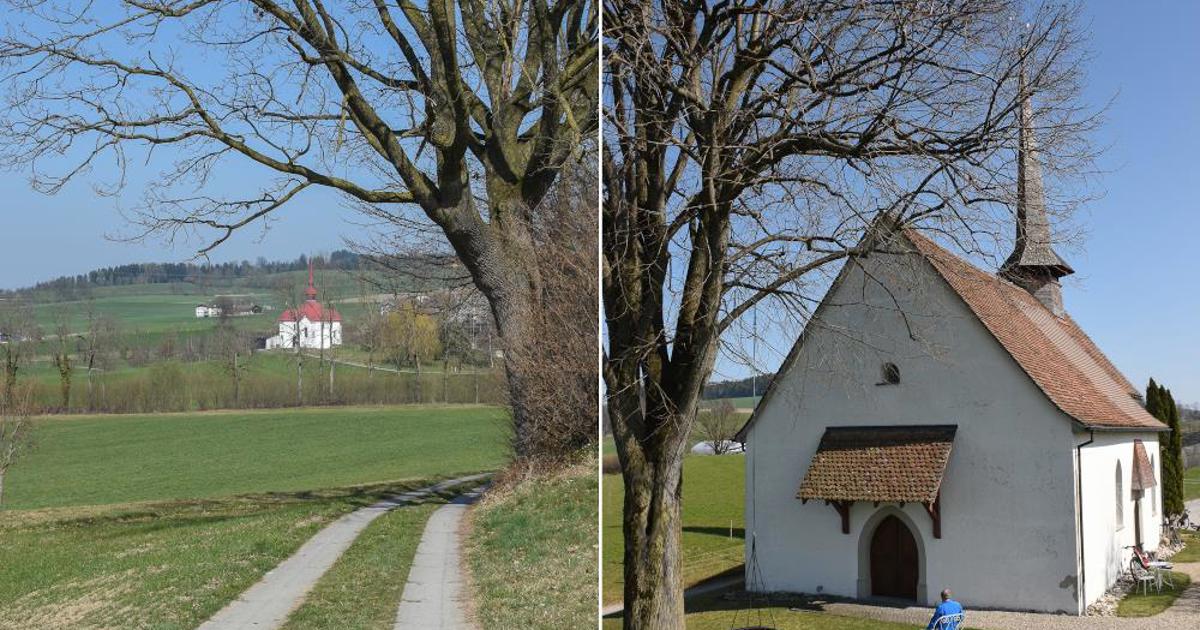 Rettung des Kapellenwegs | Kirchenbote Online